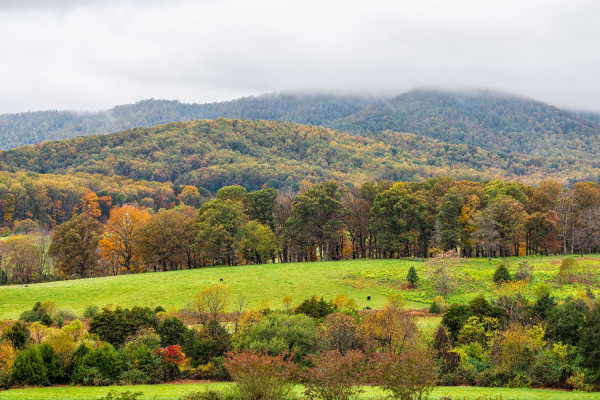 10 Best Drug & Alcohol Rehab Centers near Manakin-Sabot, VA 2026 ...