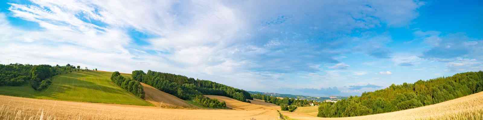Best Drug & Alcohol Rehab Centers in Green Springs