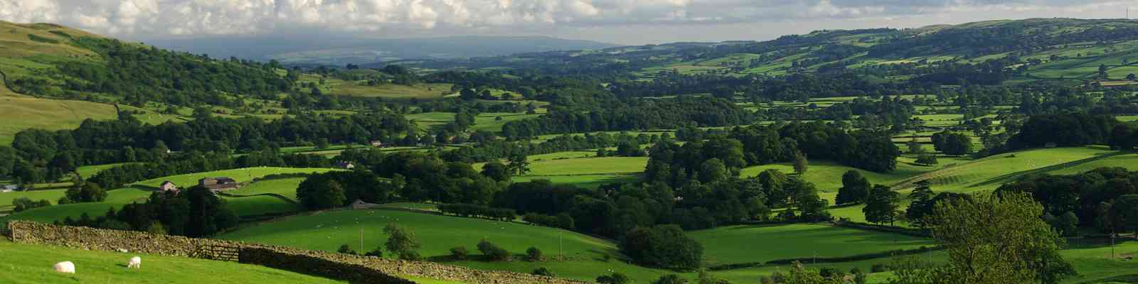 50 Best England Depression Rehabs of 2024 (With Pricing)